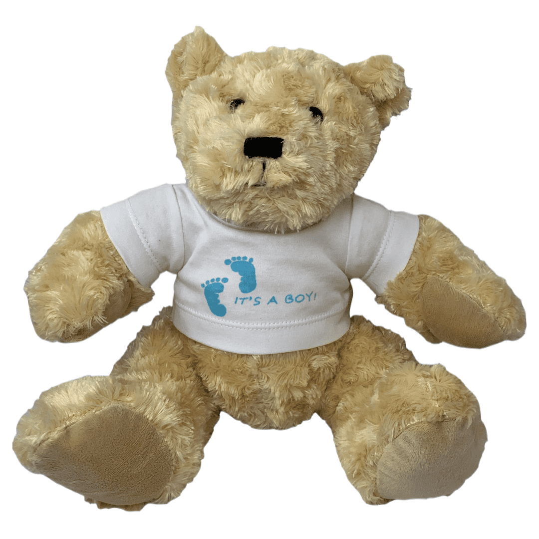 Its a boy teddy bear store